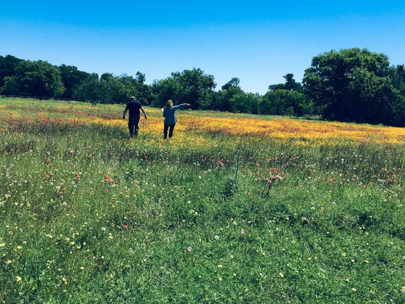 Gallery - Countryside Memorial Park