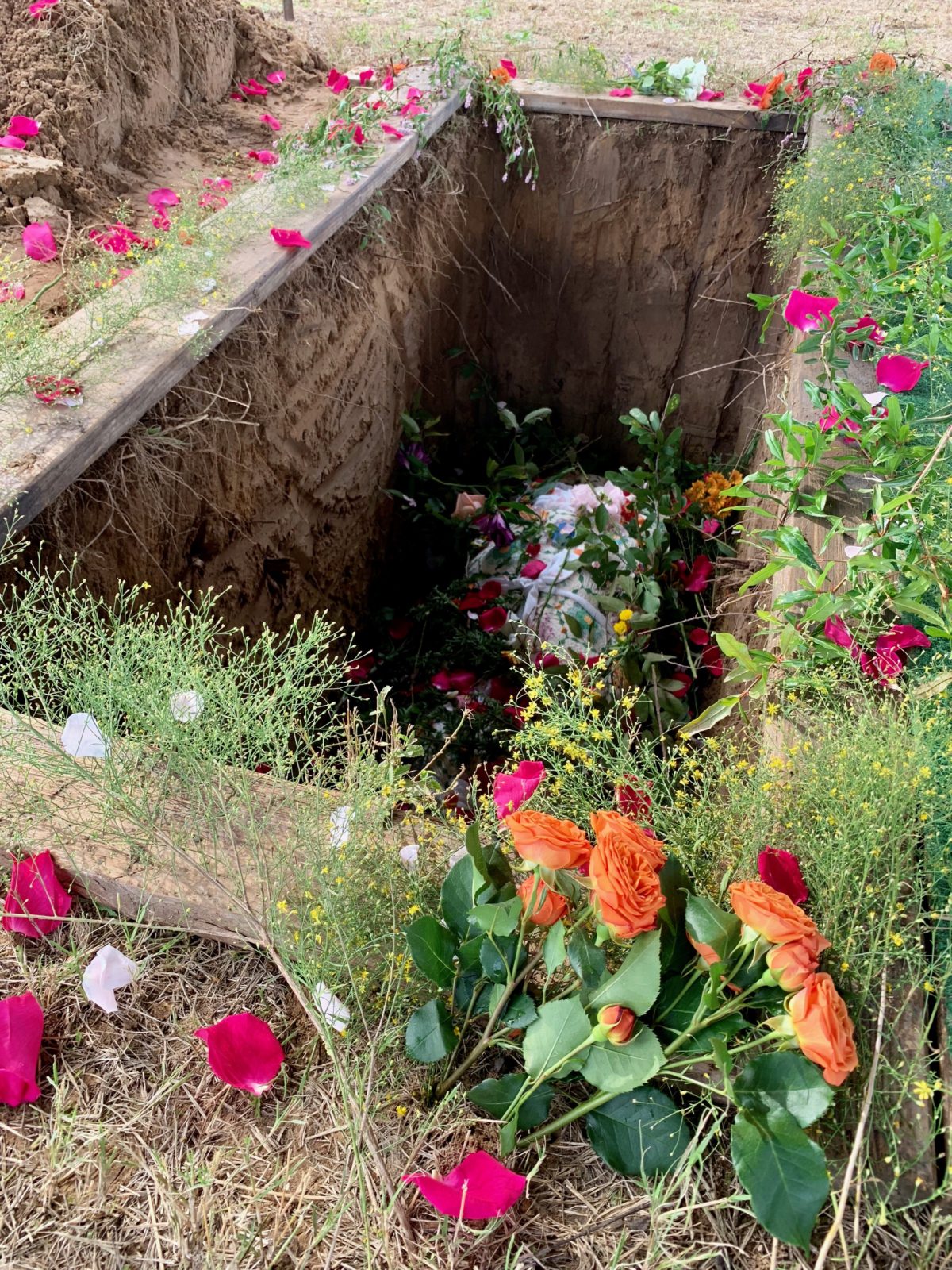 Eco Friendly Burial Options | Green Funeral Services